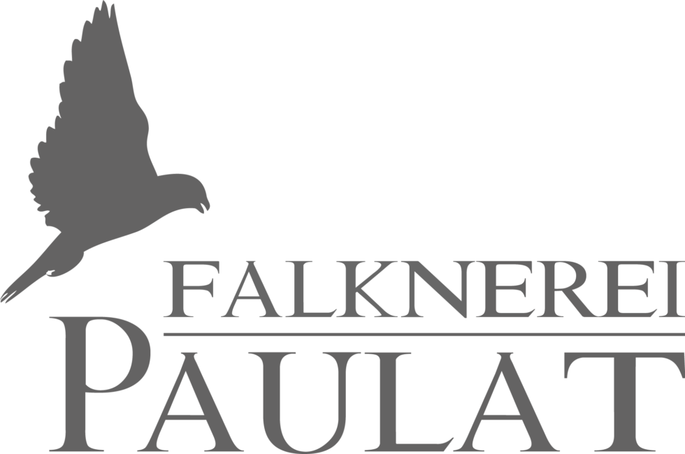 Falknerei Paulat - Oberschwaben | Allgäu | Bodensee | Sakerfalken ...